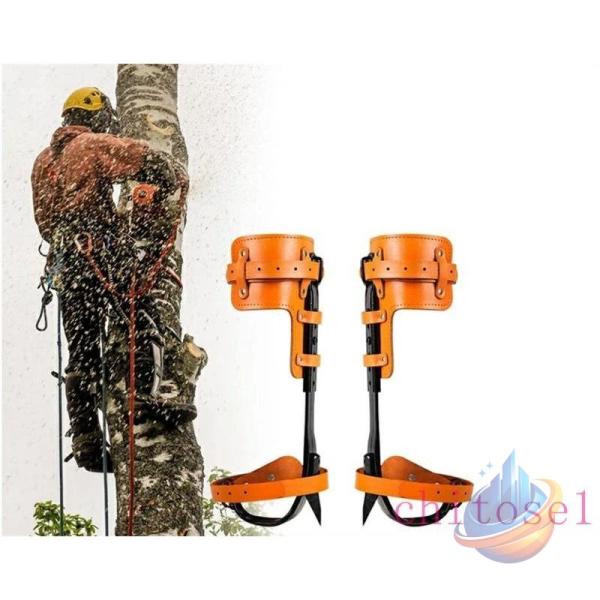 ステンレス鋼構造: ツリー クライミング ネイルは高強度のステンレス鋼でできており、防錆、耐摩耗性があり、220 ポンドに耐えることができ、屋外での長期使用に適しています。その上、爪は鋭く硬いので、木登りを安全かつ効率的に突き刺すことができ...