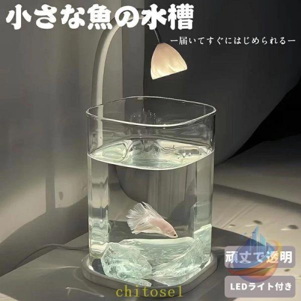 商品説明         　商品詳細   素材：ガラス   商品サイズ：   24.5*15*10   【特徴 】卓上花瓶 、卓上水槽とてもクリエイティブな作品です。人気が高まってきている水耕栽培は、水槽の中でもできること。水槽の中で行う水...