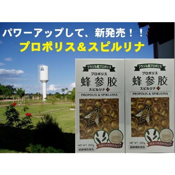 『プロポリス・スピルリナ+』は、ブラジル原産の良質なプロポリスから抽出したエキスに、母乳に多く含まれている「ラクトフェリン」、30億年も昔から地球上に存在する最古の植物の一つ「スピルリナ」を新たに配合し、パフィア（ブラジル人参）や天然ビタミ...