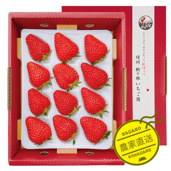 信州駒ヶ根いちご園は、長野県の中央アルプスと南アルプスの間にある駒ヶ根市のいちご専門農家です。味・形・大きさと、どれをとっても最高の「朝採り紅ほっぺ」を贈答用の化粧箱で産地から直接お届けいたします！紅ほっぺスーパープレミアムは、一人暮らしや...