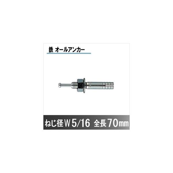 オールアンカー Cタイプ スチール製コンクリート用 芯棒打込み式品番  C-2570ねじの呼び(外径D)  W5/16全長Lmm  70ねじ長さmm  25取付物厚mm  1〜25ドリル径mm  8.5引張最大荷重KN(kgf) 6.9(7...