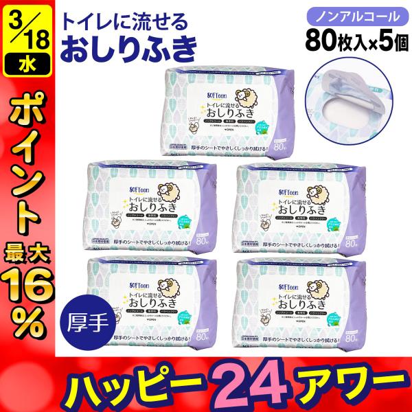 【送料無料】【仕様】色:白サイズ:1シート140×200mm入数:400枚(80枚×5個)成分:EDI純水、アロエエキス基布素材:パルプ、レーヨン特徴:ノンアルコール、無香料、パラベンフリー生産国:中国 / 製造元:株式会社シンズ(全国マス...