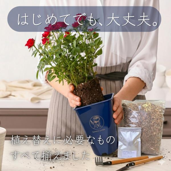 バラの新苗は、届いたらすぐに植え替えることが大切です。でも、はじめての方にとっては・どの鉢を選べばいいのか・土はどれくらい必要なのか・肥料はどれくらい入れるのか迷ってしまうポイントがたくさんあります。この「植え替えスターターセット」は、そん...