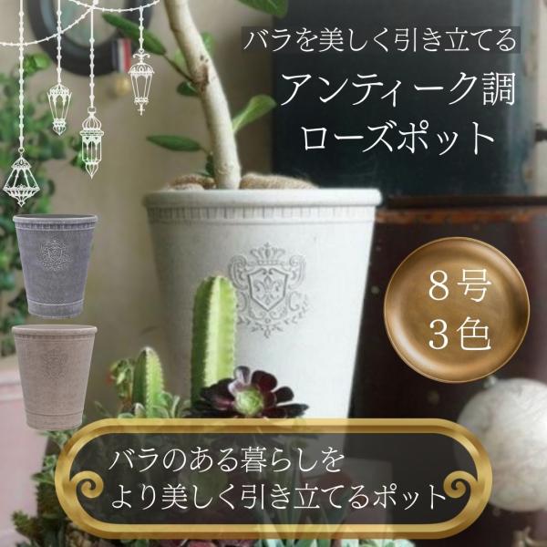 丈夫な合成樹脂製で、フラワーポットに最適。おしゃれなデザインであなたのお庭を引き立てます。※底穴を4カ所追加で開けていますので、水はけが良くバラの栽培に最適です。【サイズ】φ250×H290、内径φ235(mm)［重量］0.73(kg)［材...