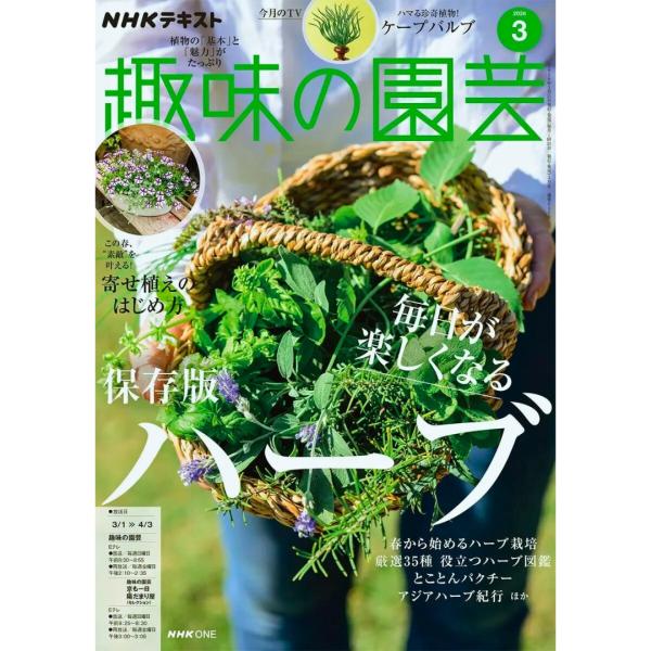 【発売日：2026年02月20日】NHK 趣味の園芸2026年 3月号 書籍 最新号■今月のテーマ［特集］毎日が楽しくなるハーブ● 育てて、描いて、楽しんで。阿部真由美さんのハーブ暮らし● そもそもハーブってなに？● 厳選35種 役立つハー...
