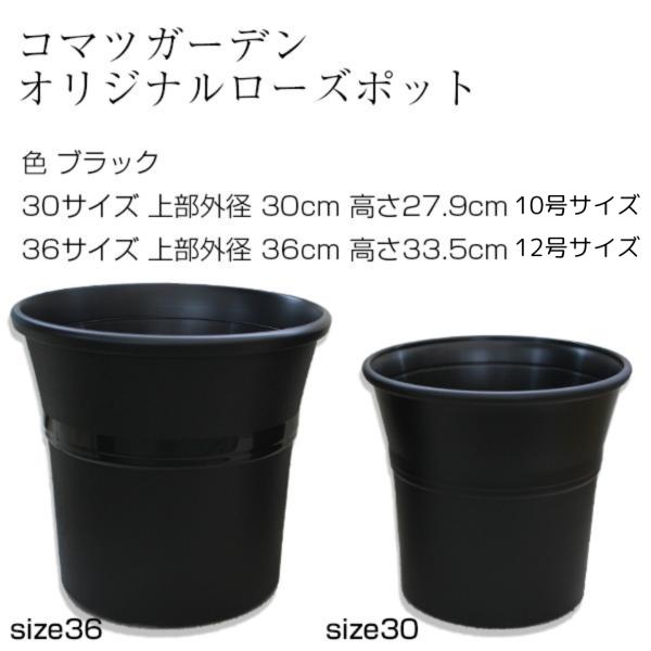 バラはもちろんオリーブやアガベなどにも合わせやすい厚手のプラ鉢です。サイズはφ30、36ｃｍの2種類、カラーはブラックです。しっかりとした作りになっていますので安心して使用できます。◆[ローズポット 30]　　サイズ： 上部外径30ｃｍ 内...