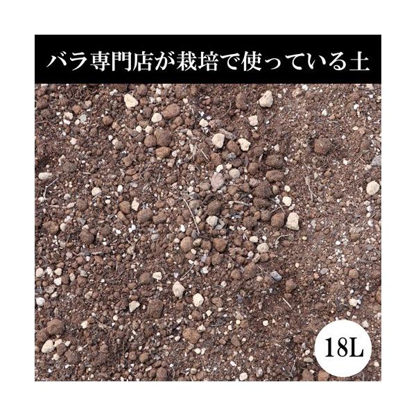 コマツガーデンで販売しているバラ苗に使用している バラの土です。バラの生育に適した配合のコマツガーデンオリジナル バラの土です。苗の生育の中で、より強く健全な枝ぶりと根の張りを促します。排水性、保水性共に優れており、水はけのよい土で、バラの...