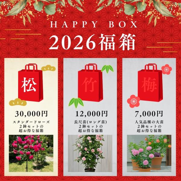 【発売日：2026年01月01日】新春福箱 2026 松 のご案内今年も新春を祝う特別な「福箱」をご用意しました！★3年かけて育てた至高のバラ。門扉を彩る憧れの空間を新春特価で★コマツガーデンが台木の種まきから3年、情熱を注いで育て上げたオ...