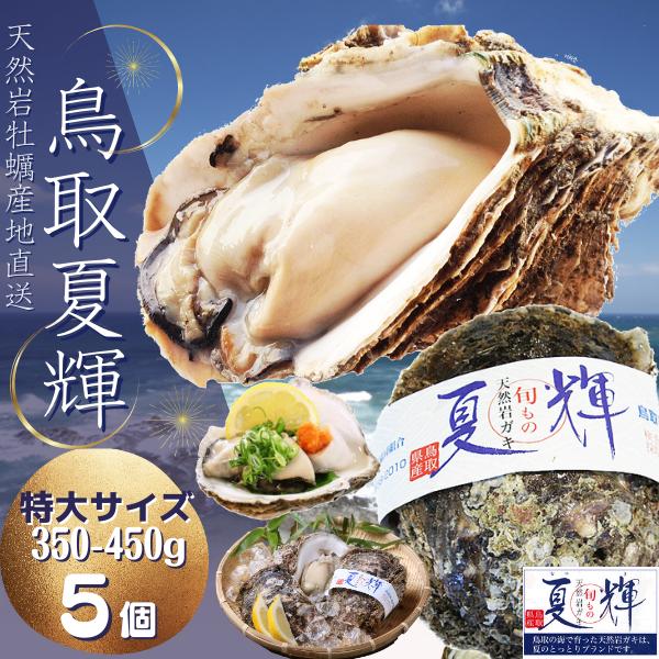 【発売日：2026年06月15日】鳥取天然岩牡蠣のブランド【夏輝】特大サイズ（350ｇ〜450ｇ）牡蠣。天然岩牡蠣。山陰沖岩牡蠣！つるっと！ぷるっと！岩牡蠣・牡蠣をご賞味あれっ！◆「殻を開けやすくして発送（有料）」「貝柱」を切って牡蠣を開け...