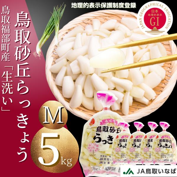 【発売日：2026年06月05日】らっきょうの大産地として有名な鳥取県鳥取市福部町産ラッキョウをお届けJAいなば JAふくべ「鳥取砂丘らっきょう」はシャキシャキ感が強い！★地理的表示保護制度（通称：ＧＩ）に「鳥取砂丘らっきょう」「ふくべ砂丘...