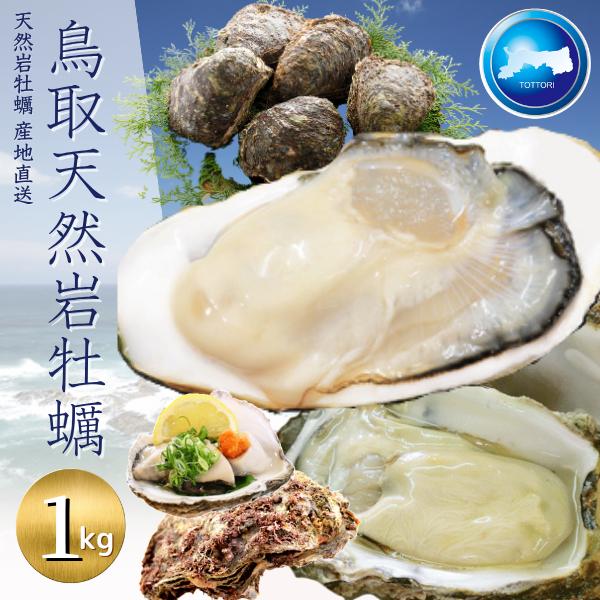 【発売日：2026年06月15日】山陰沖産岩牡蠣は自然の岩場から素潜りで獲ってきた天然岩牡蠣(カキ)を直送致します。岩牡蠣・牡蠣★天然岩牡蠣：お任せ1kg★着日指定不可◆原産地：山陰沖産　 ※表示の重さは殻を開ける前のものです。　◆賞味期限...
