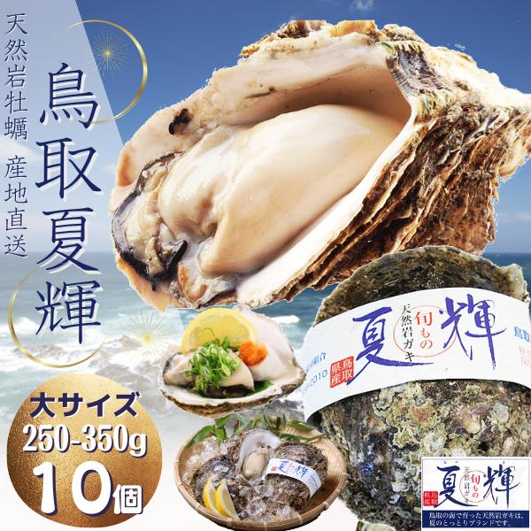 【発売日：2026年06月15日】鳥取天然岩牡蠣のブランド【夏輝】大サイズ（250ｇ〜350ｇ）牡蠣。天然岩牡蠣。山陰沖岩牡蠣！つるっと！ぷるっと！岩牡蠣・牡蠣をご賞味あれっ！◆「殻を開けやすくして発送（有料）」「貝柱」を切って牡蠣を開けお...