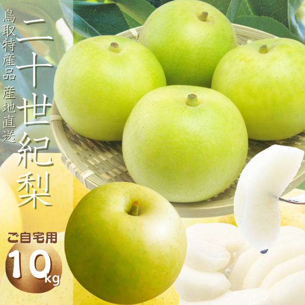 【発売日：2026年08月25日】梨の本場鳥取から甘くて美味しいナシ（優品・ご自宅用）みずみずしくてシャリシャリな鳥取県特産二十世紀梨を産地直送でお届け致します。美味しい梨！★発送時の「常温便（無料）」「クール冷蔵便（有料）」をお選びくださ...