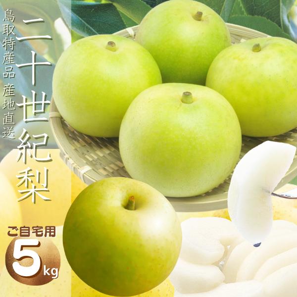 【発売日：2026年08月30日】梨の本場鳥取から甘くて美味しいナシ（優品・ご自宅用）みずみずしくてシャリシャリな鳥取県特産二十世紀梨を産地直送でお届け致します。美味しい梨！★発送時の「常温便（無料）」「クール冷蔵便（有料）」をお選びくださ...