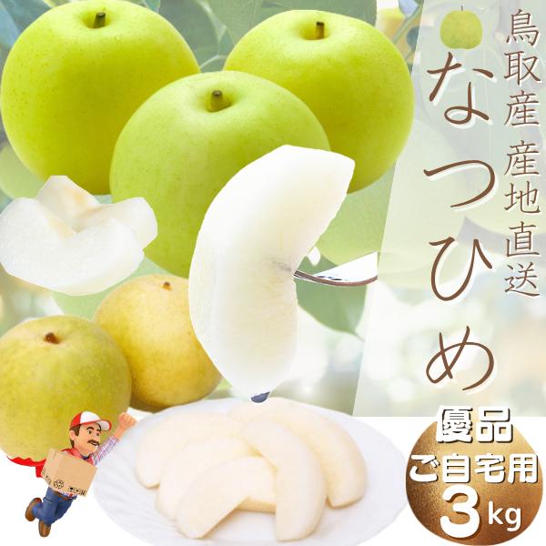 【発売日：2026年08月10日】梨の本場鳥取から甘くて美味しいナシ（訳ありご自宅用）みずみずしくてシャリシャリな鳥取県特産「なつひめ」を産地直送でお届け致します。美味しい梨！★発送時の「常温便（無料）」「クール冷蔵便（有料）」をお選びくだ...