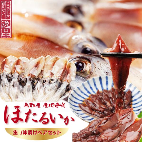 【発売日：2025年03月15日】−６０℃にて急速冷凍４日間安心安全ホタルイカ！2026年度「新物ホタルイカ生・ホタルイカ沖漬け」お得に両方味わえる絶品！プリプリなホタルイカの食感とわたの旨味がたまりません！昆布に漬け込んだ「沖漬け（醤油漬...