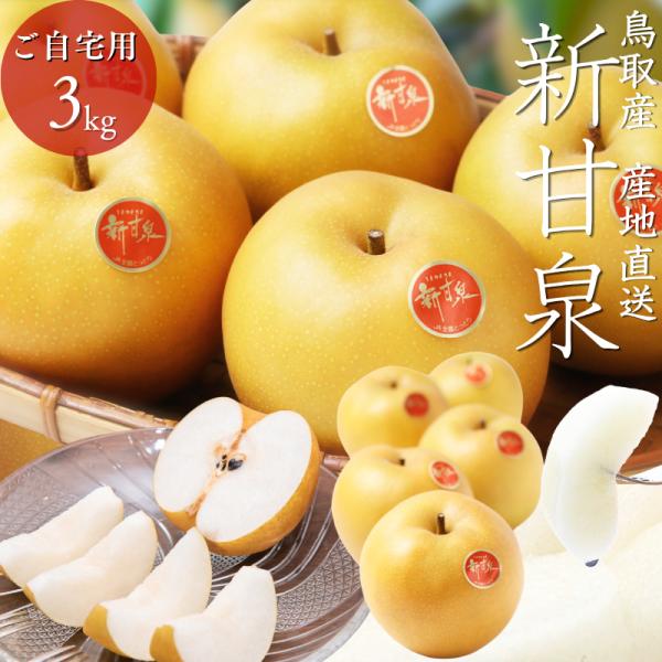 【発売日：2026年08月25日】鳥取県限定☆新品種☆赤梨登場！新甘泉（しんかんせん）梨 和梨です。糖度１３〜１５度と抜群の甘さ！大自然の中で丁寧に育てられた甘い梨を是非ご賞味くださいませ。ご自宅用。★発送時の「常温便（無料）」「クール冷蔵...