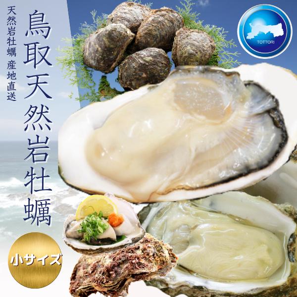 【発売日：2026年06月15日】山陰沖産岩牡蠣は自然の岩場から素潜りで獲ってきた天然岩牡蠣(カキ)を直送致します。岩牡蠣・牡蠣★着日指定不可。６月上旬以降、漁が有り次第ご注文順にて順次発送です。◆原産地：山陰沖産　 ※表示の重さは殻を開け...