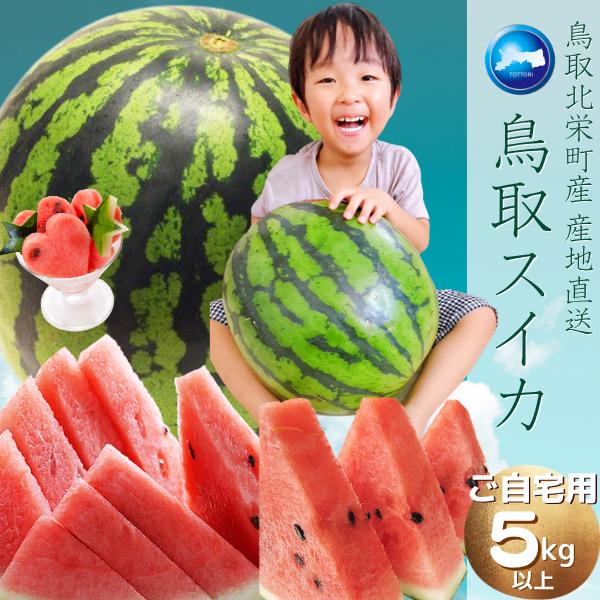 【発売日：2026年06月25日】「訳あり」鳥取産スイカ！糖度が高く☆甘くてシャリシャリスイカ☆西瓜で有名な鳥取の産地からお届けします。鳥取すいかはホントに美味しいんですよ！★【ご注意点！】こちらの商品は「訳あり・ご自宅用」となり「棚落ちス...