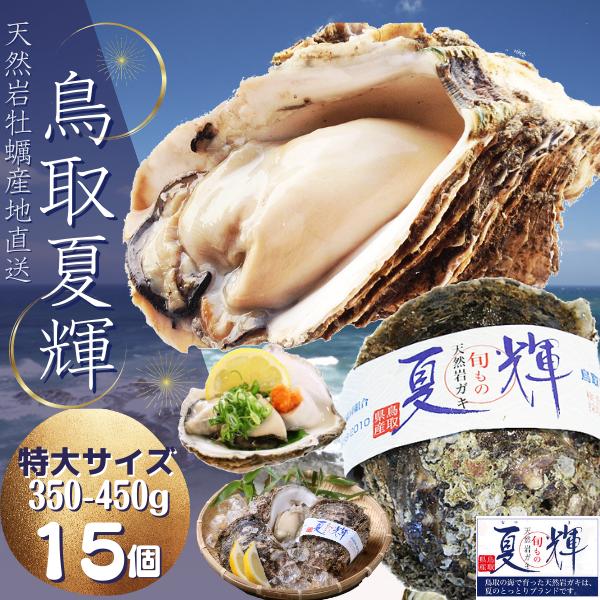 【発売日：2026年06月15日】鳥取天然岩牡蠣のブランド【夏輝】特大サイズ（350ｇ〜450ｇ）牡蠣。天然岩牡蠣。山陰沖岩牡蠣！つるっと！ぷるっと！岩牡蠣・牡蠣をご賞味あれっ！◆「殻を開けやすくして発送（有料）」「貝柱」を切って牡蠣を開け...