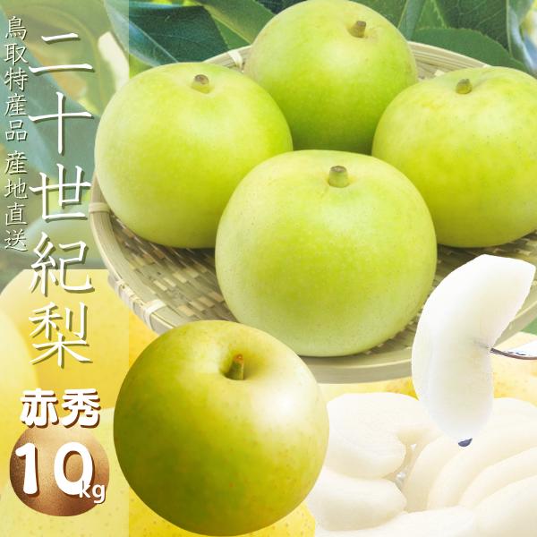 【発売日：2026年09月01日】梨の本場鳥取から甘くて美味しいナシ！みずみずしくてシャリシャリな鳥取県特産二十世紀梨を産地直送でお届け致します。☆ご進物に是非☆美味しい梨！★発送時の「常温便（無料）」「クール冷蔵便（有料）」をお選びくださ...