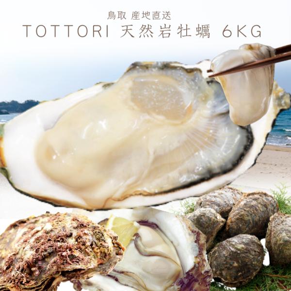 【発売日：2026年06月13日】お中元にも是非！山陰沖の岩牡蠣は自然の岩場から素潜りで獲ってきた天然岩牡蠣(カキ)を直送致します。岩牡蠣・牡蠣●大中小サイズ入り混じりで、殻付きの重量にて合計6キロとなります。（小サイズのみの場合もございま...
