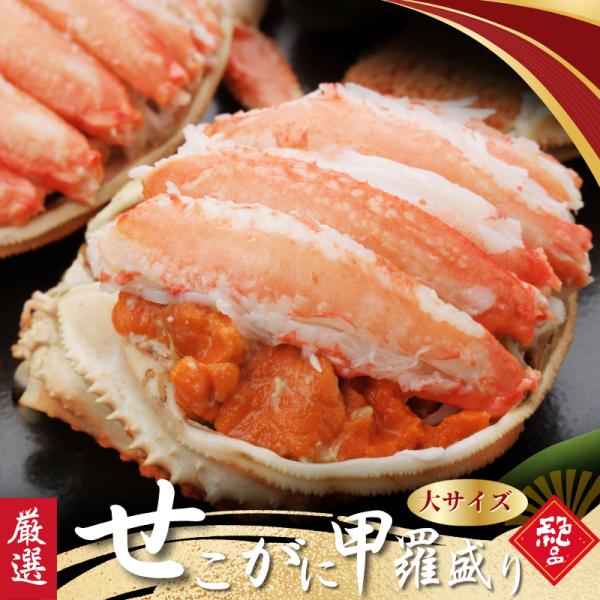 【発売日：2026年01月05日】爆買 冬海の女王鳥取「セコガニ」まるまる１杯を「甲羅盛り」に！もちろん「カニ身・内子・外子・蟹味噌」もぎっしりと♪ご家族の集まりやホームパーティーにも最適です！◆原産地：鳥取◆加工場：鳥取◆内容量：「鳥取セ...