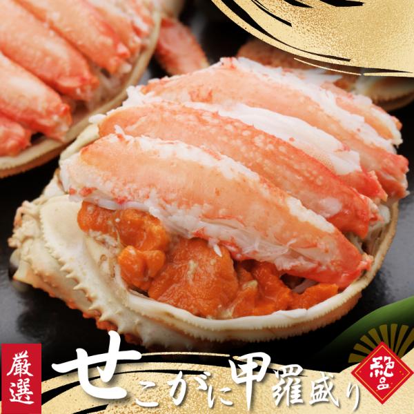 【発売日：2025年01月06日】冬海の女王ズワイガニ 雌 鳥取「セコガニ」まるまる１杯を「甲羅盛り」に！もちろん「カニ身・内子・外子・蟹味噌」もぎっしりと♪ご家族の集まりやホームパーティーにも最適です！★「制作期間中」の場合には発送までお...