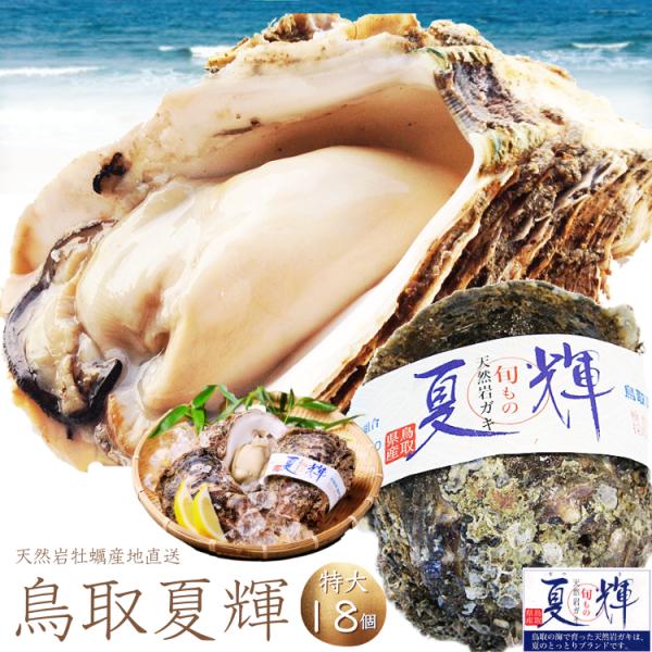【発売日：2026年06月15日】鳥取天然岩牡蠣のブランド【夏輝】特大サイズ（350ｇ〜450ｇ）牡蠣。天然岩牡蠣。山陰沖岩牡蠣！つるっと！ぷるっと！岩牡蠣・牡蠣をご賞味あれっ！◆「殻を開けやすくして発送（有料）」「貝柱」を切って牡蠣を開け...