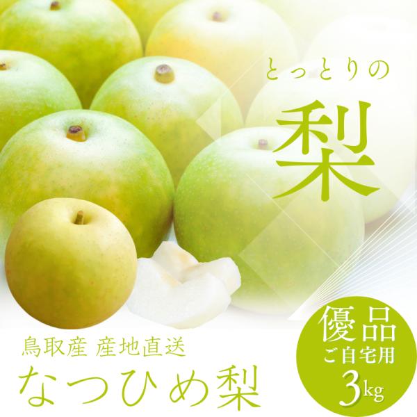 【発売日：2026年08月10日】梨の本場鳥取から甘くて美味しいナシ！みずみずしくてシャリシャリな鳥取特産なつひめ梨を産地直送でお届け致します。★発送時の「常温便（無料）」「クール冷蔵便（有料）」をお選びくださいませ。★8月中旬頃よりご注文...