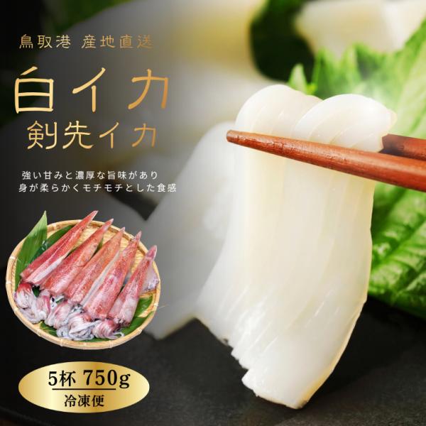 【発売日：2026年10月07日】この一本釣りで釣り上げられるケンサキイカを地元ではシロイカと呼びます。甘みが強く濃厚な味わいが人気の鳥取の夏を代表する味覚です。イカと言えば「鳥取白イカ」剣先イカ鮮度抜群・新鮮なイカを「急速冷凍」をして旨味...