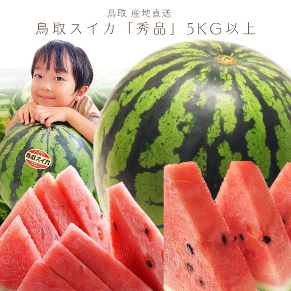 【発売日：2026年06月15日】スイカの名産地、糖度が高く☆甘くてシャリシャリ☆西瓜で有名な鳥取の産地からお届けします。贈り物にも最適です！鳥取すいかは最高に美味しいんです！★６月中旬〜下頃より発送開始予定(着日指定不可）入荷次第・ご注文...