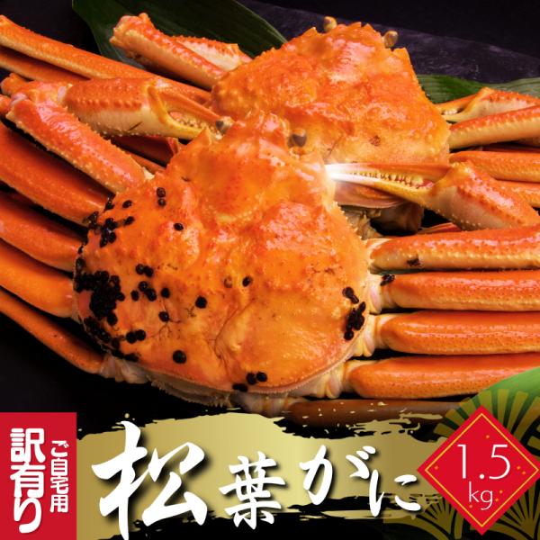 【発売日：2026年01月05日】冬海の宝石！鳥取松葉ガニのお得なファミリーセット♪松葉がにが思う存分ご家族で堪能出来ます。新鮮松葉ガニを是非！この機会に！★11月中旬頃より、入荷次第ご注文順に順次発送。天候の影響にて（寒波）入荷に遅れが生...