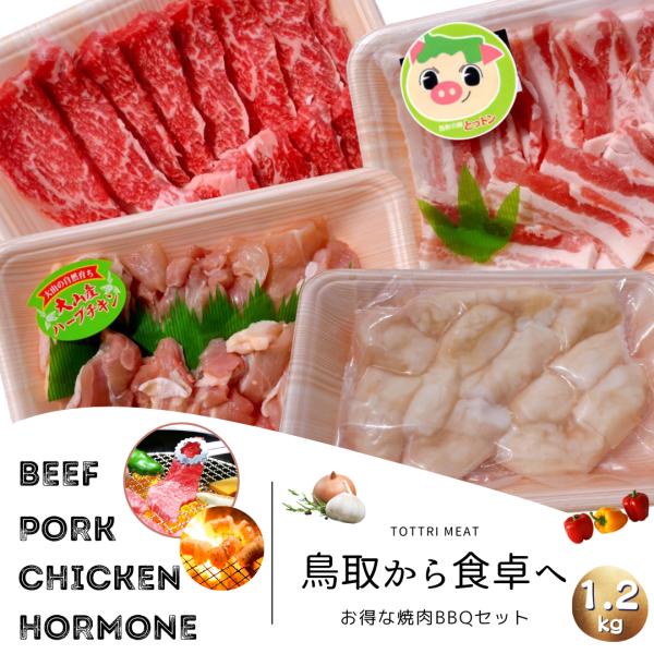 【発売日：2018年08月26日】お得間違いなし！鳥取県産、焼肉セット！ホルモンパイプ・肩ロース・豚バラ肉・若鶏もも肉・国産肉、豪華！４点セット盛り！！！焼肉・バーベキュー BBQセット。ホルモン　牛肉　豚肉　鶏肉一度で一緒に味わえる☆◆製...