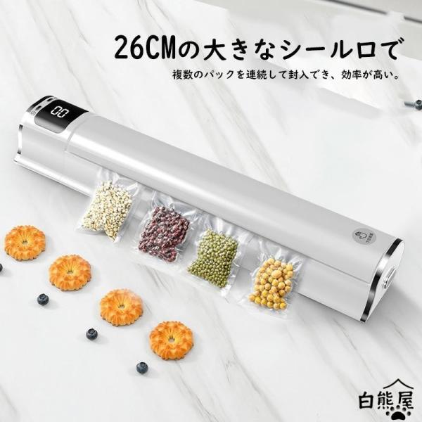真空パック機 真空パック器 真空パック 袋100枚付き 家庭用 業務用 フードセーバー 小型 キッチン 60Kpa 強力 乾湿兼用 シーラー