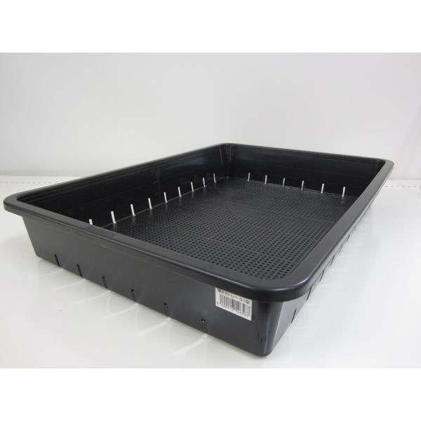 種まき、さし木にオススメです。