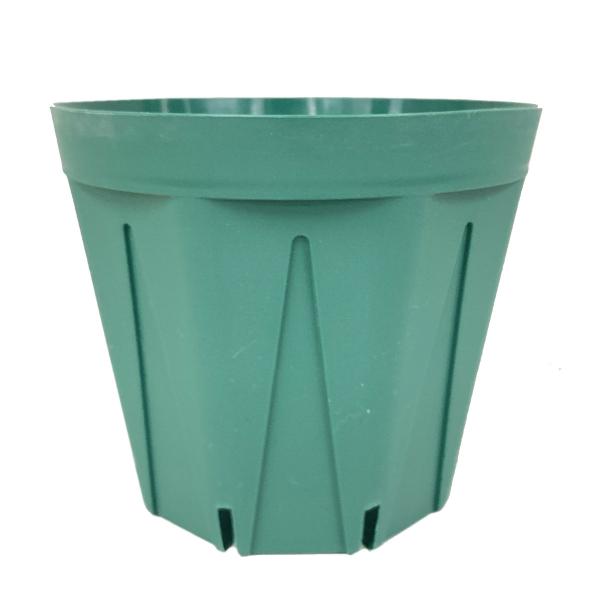 大地の根張りを鉢の中で実現！