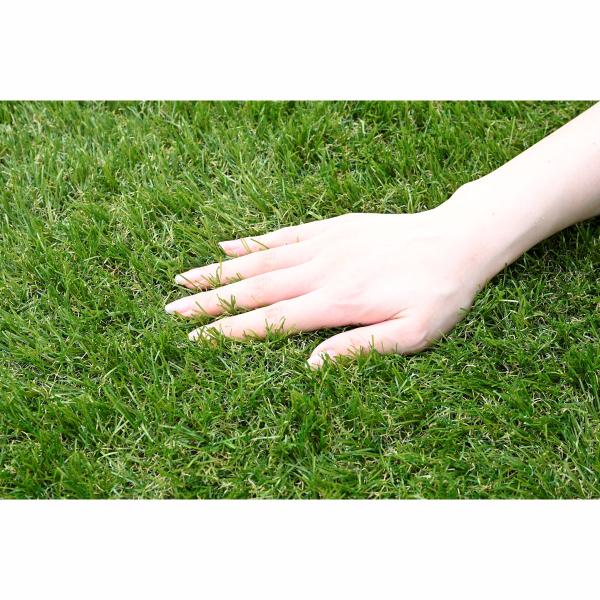 簡単設置の人工芝　固定U字ピン付属