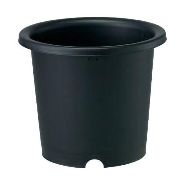 ４号サイズでかわいいミニ観葉にも！