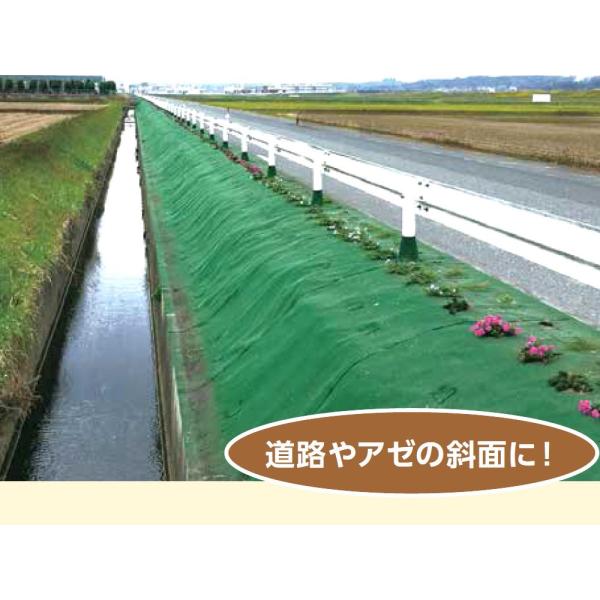 繊維系防草シートの部類では最も厚みが有り、柔軟性と耐候性に優れている。また国内製造（日本製）で長年、公共工事での採用実績も豊富であるため安心してご使用いただける製品となっています。製品規格は敷設場所に応じて１ｍ幅と２ｍ幅の２タイプを揃えてお...