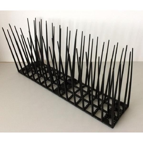 鳥のとまりやすい場所に設置。糞尿被害・感染予防にも。