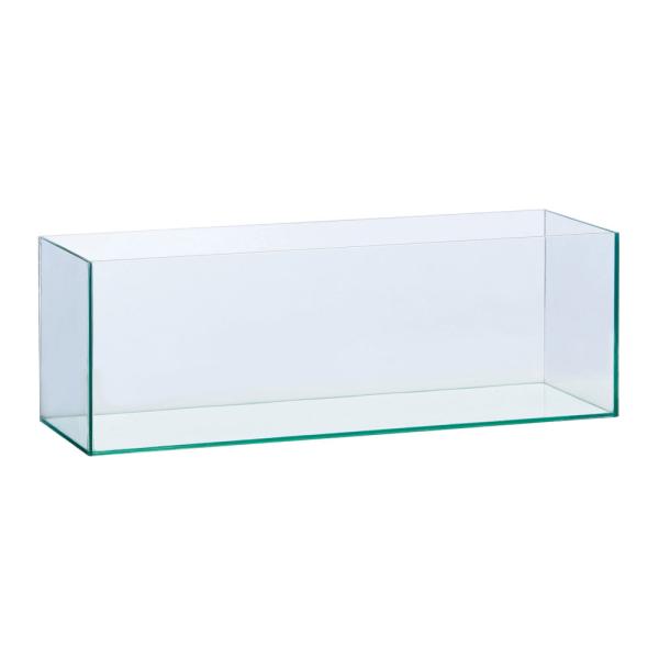 クリア感が高く、ガラスカットが美しいフレームレス水槽はインテリアにもなります。