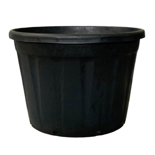 果樹、庭木用に最適なお買い得ポット。