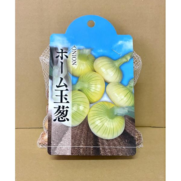 【ホーム玉ねぎとは】一般的な玉ねぎは種まきから収穫まで約9〜10ヶ月かかりますが、ホーム玉ねぎ（オニオンセット・セット球）は直径2cmほどまで育てた種球を植え付けるため、わずか3〜4ヶ月というスピード栽培が可能です。8月上旬〜9月頃に植え付...