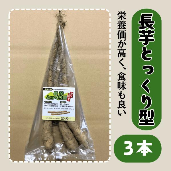 とっくり型で作りやすい！！従来に比べ首部まで肥大　【収穫長さ】70〜80ｃｍ土壌・気候により長さは異なります。畝巾・・・100〜120ｃｍ株間・・・35ｃｍ追肥・・・7月中旬〜8月上旬「とっくり長芋」は、北東北の寒冷地で育つとろろ芋の代表品...