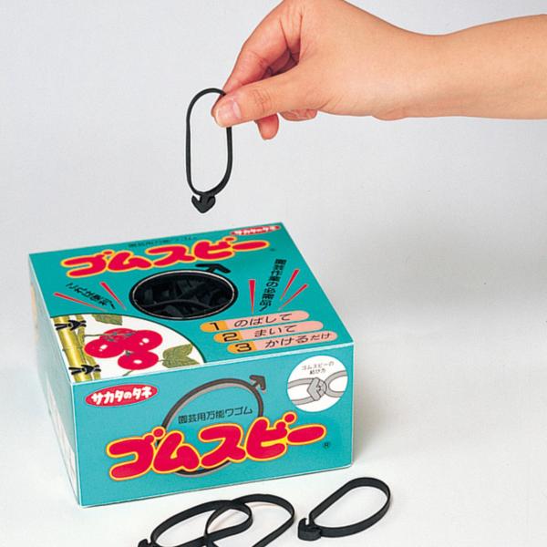 ※商品のみのお届けです■ 特長ワンタッチで結束完了伸ばして巻いて引っ掛けるだけ。片手でも作業でき、時間も労力も大幅カット。植物に優しい伸縮性茎が太くなっても食い込みにくく、成長を妨げません。屋外で2〜3年使える耐久性耐候性に優れたEPゴム採...