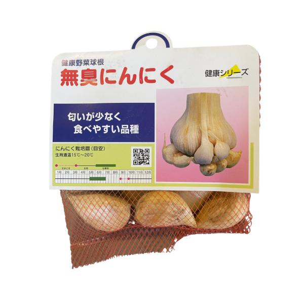 「無臭ニンニク」は普通のニンニクに比べてにおい成分が少ないためマイルドな味わいが楽しめます。においが気になって普通のニンニクを控えている方や、お子様・ご家族と一緒に料理を楽しみたい方にもおすすめの品種です。植え付け時期は暖地・平坦地で9月下...