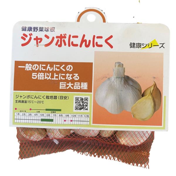 「ジャンボにんにく」は一般のにんにくの5倍以上になる巨大品種、ニンニク特有の強い臭みが少なく食べやすいため、そのまま素揚げや肉料理、中華料理、炒め物、香辛料使いなど幅広い料理にお使いいただけます。強壮野菜としても価値の高い野菜で、スタミナ補...