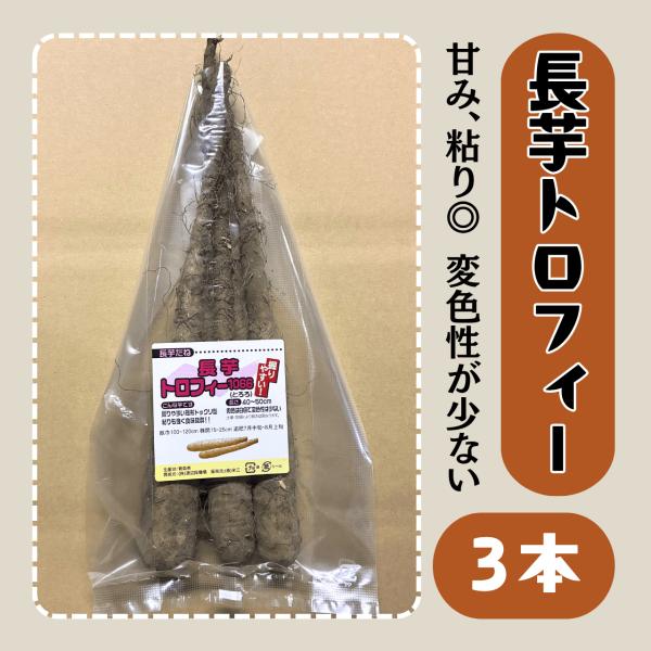 掘りやすい短形トックリ型。粘りも強く食味抜群！！【長さ】40〜50ｃｍ畝巾・・・100〜120ｃｍ株間・・・15ｃｍ〜25ｃｍ追肥・・・7月中旬〜8月上旬家庭菜園や農家から高い評価を得ている、渡辺採種場育成の短形長芋「トロフィー1066」の...