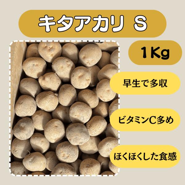 キタアカリは「男爵薯」と「ツニカ（Tunika）」を交配し育成された品種です。・皮、肉色…皮色は白っぽい黄色で粗い。目の部分には赤紫色。肉色は黄色。・形…扁球形。目の深さ、数は中程度。・肉質…紛質・調理…煮崩れしやすい。（料理例：ポテトサラ...